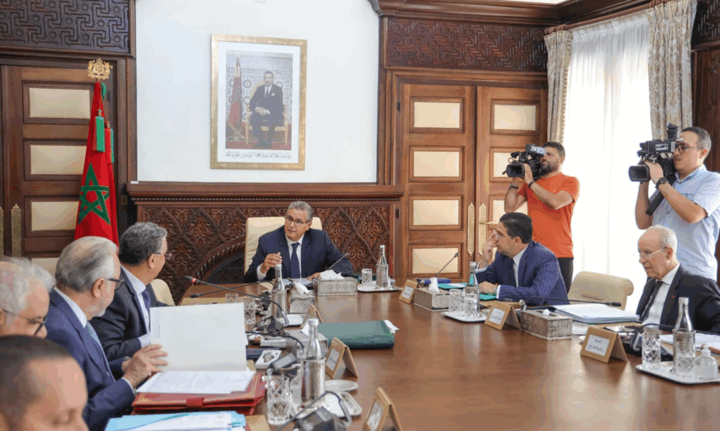 مجلس الحكومة يصادق على إحداث الوكالة الوطنية لحماية الطفولة - Le12.ma